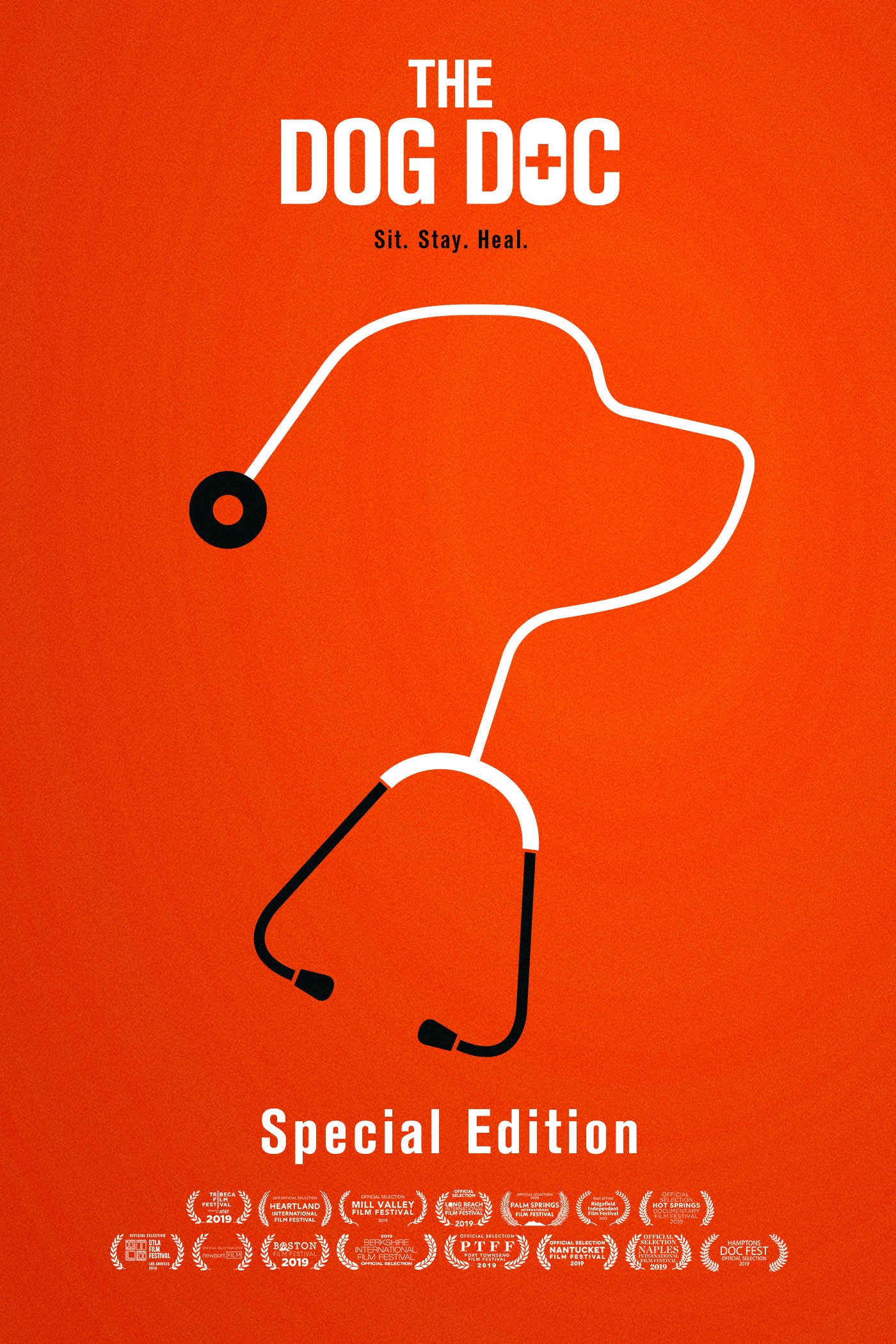 The Dog Doc: Special Edition (DVD) – Ronin Flix
